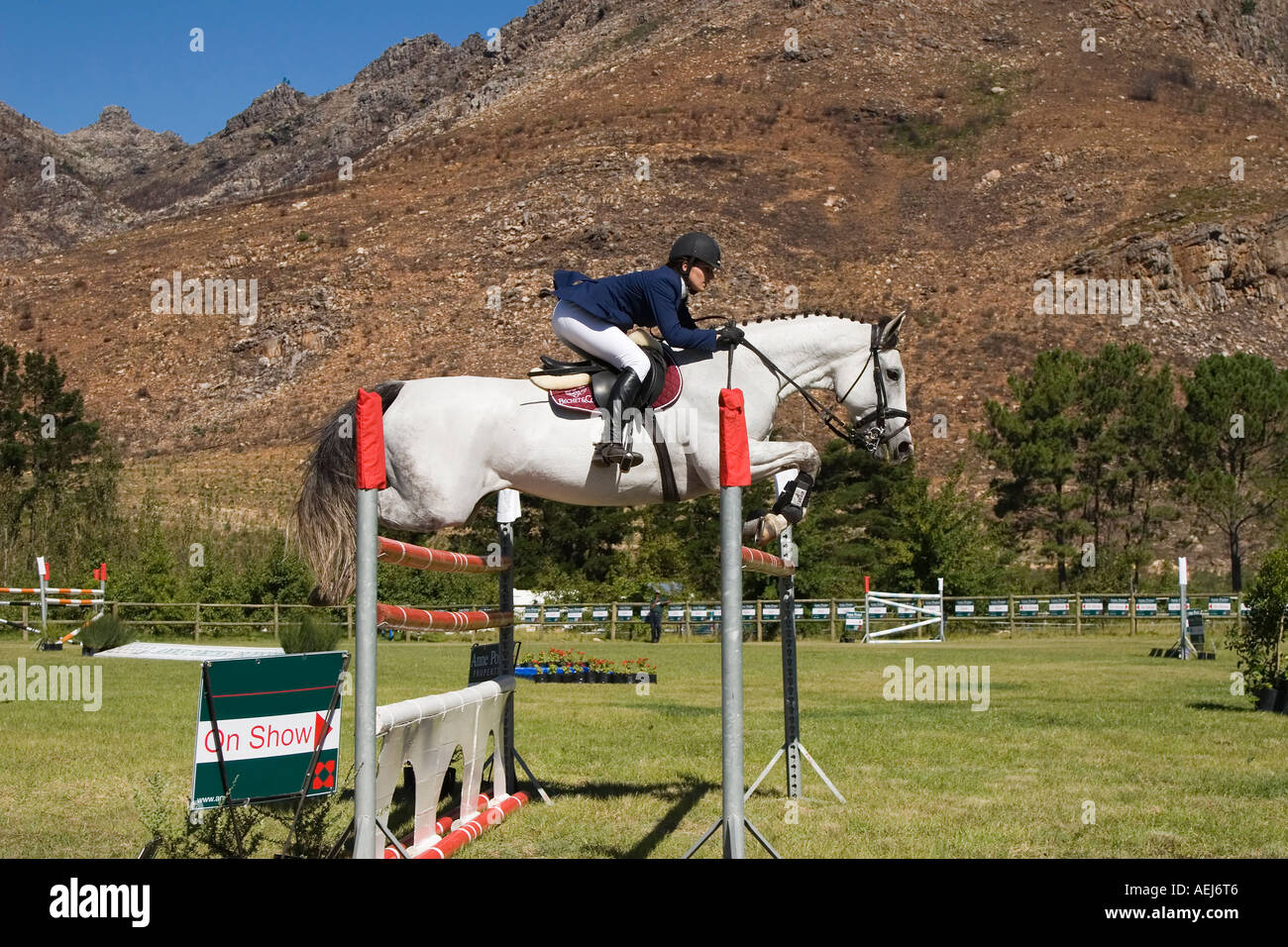 Whisper Cool, the winner of the 2006 Western Cape warmblood showjumping ...