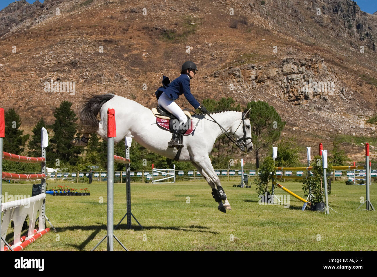 Showjumper winner hi-res stock photography and images - Alamy