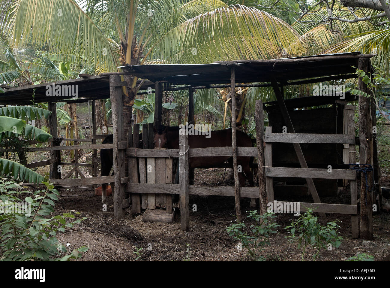 Wood barn in a village in the Guanacaste province, Costa Rica Stock ...