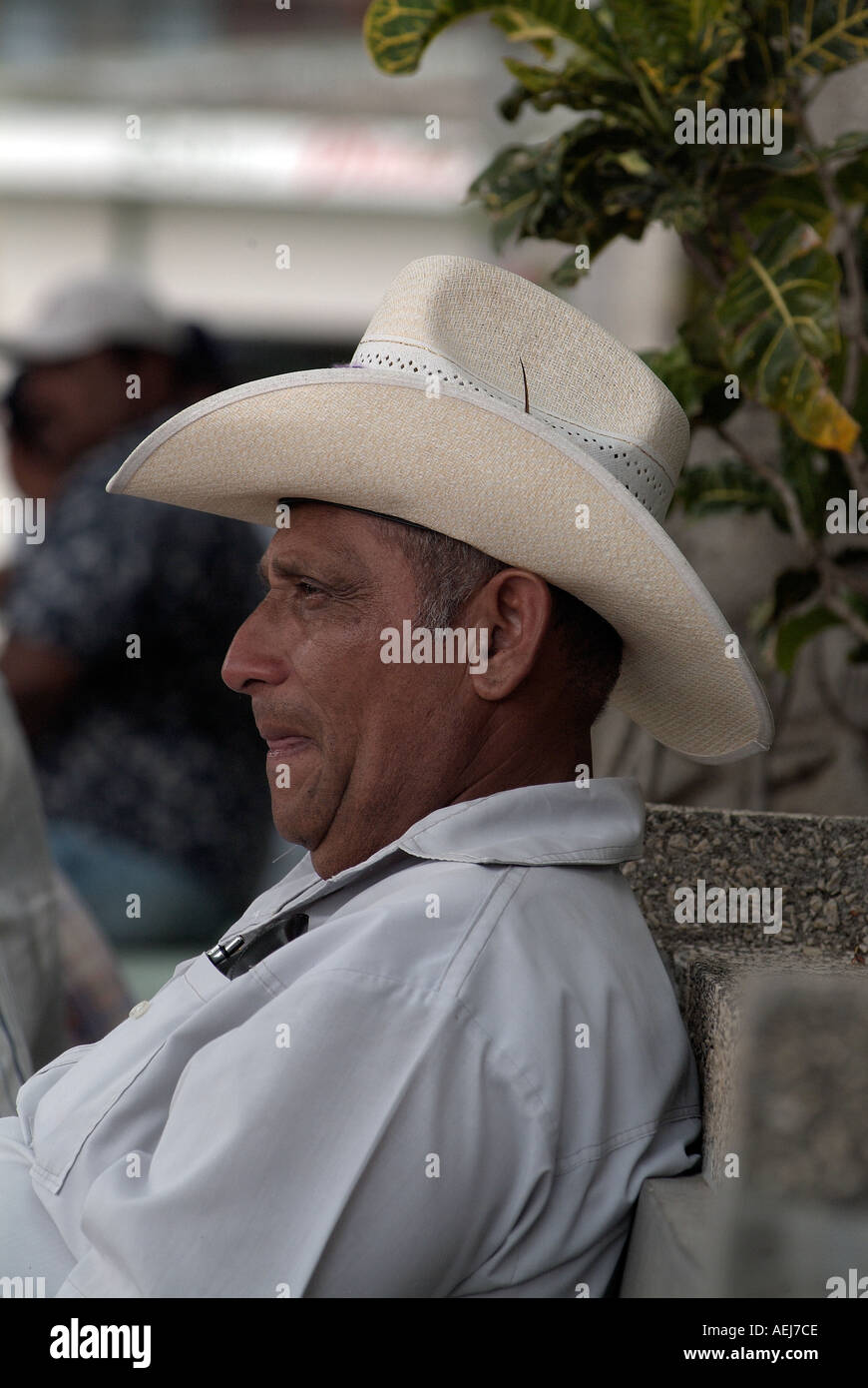 Costa Rican man sitting on a bench, Costa Rica Stock Photo - Alamy