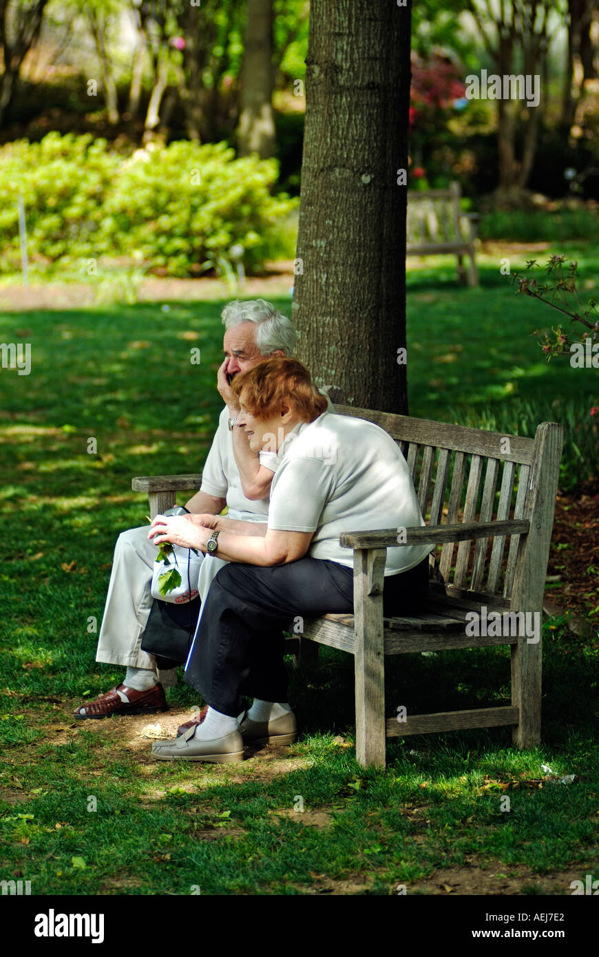Couple of old people sitting on a bench and talking Stock Photo - Alamy
