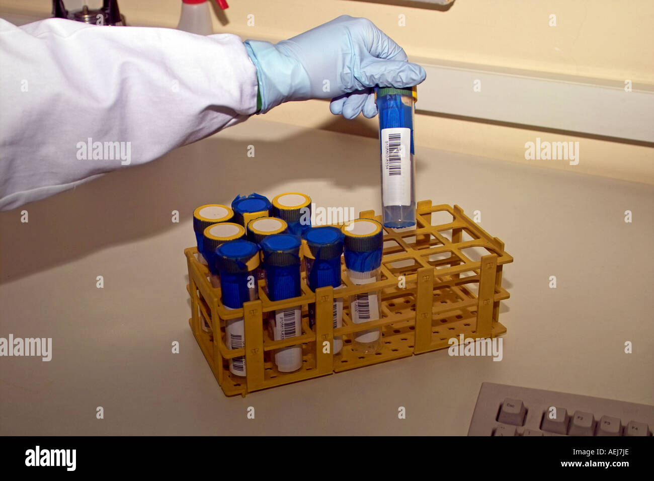 Files of human bone samples for DNA identification, International ...