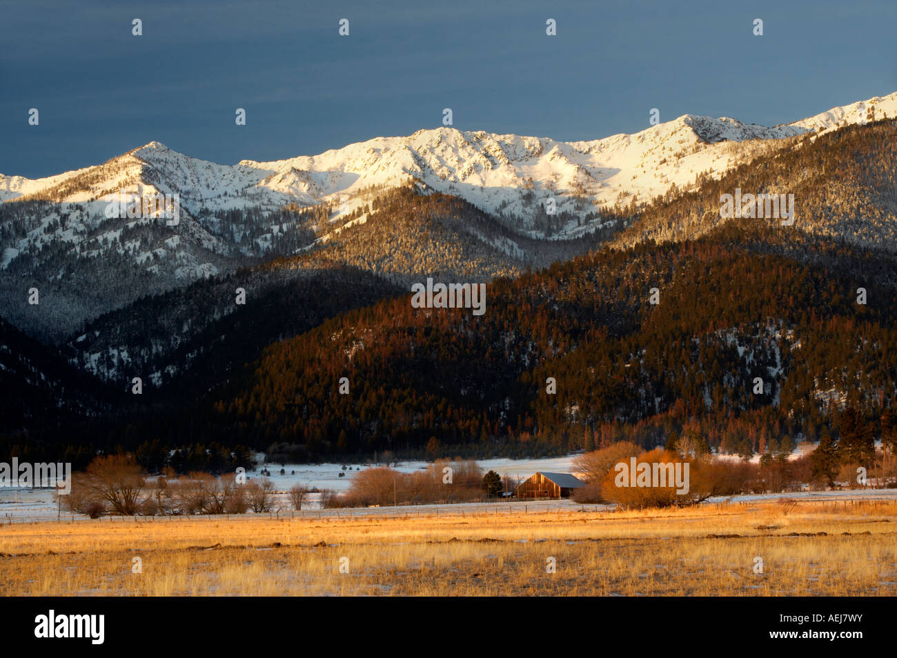 Snowy pasture and Elkhorn Range Blue Mountains Oregon Stock Photo - Alamy