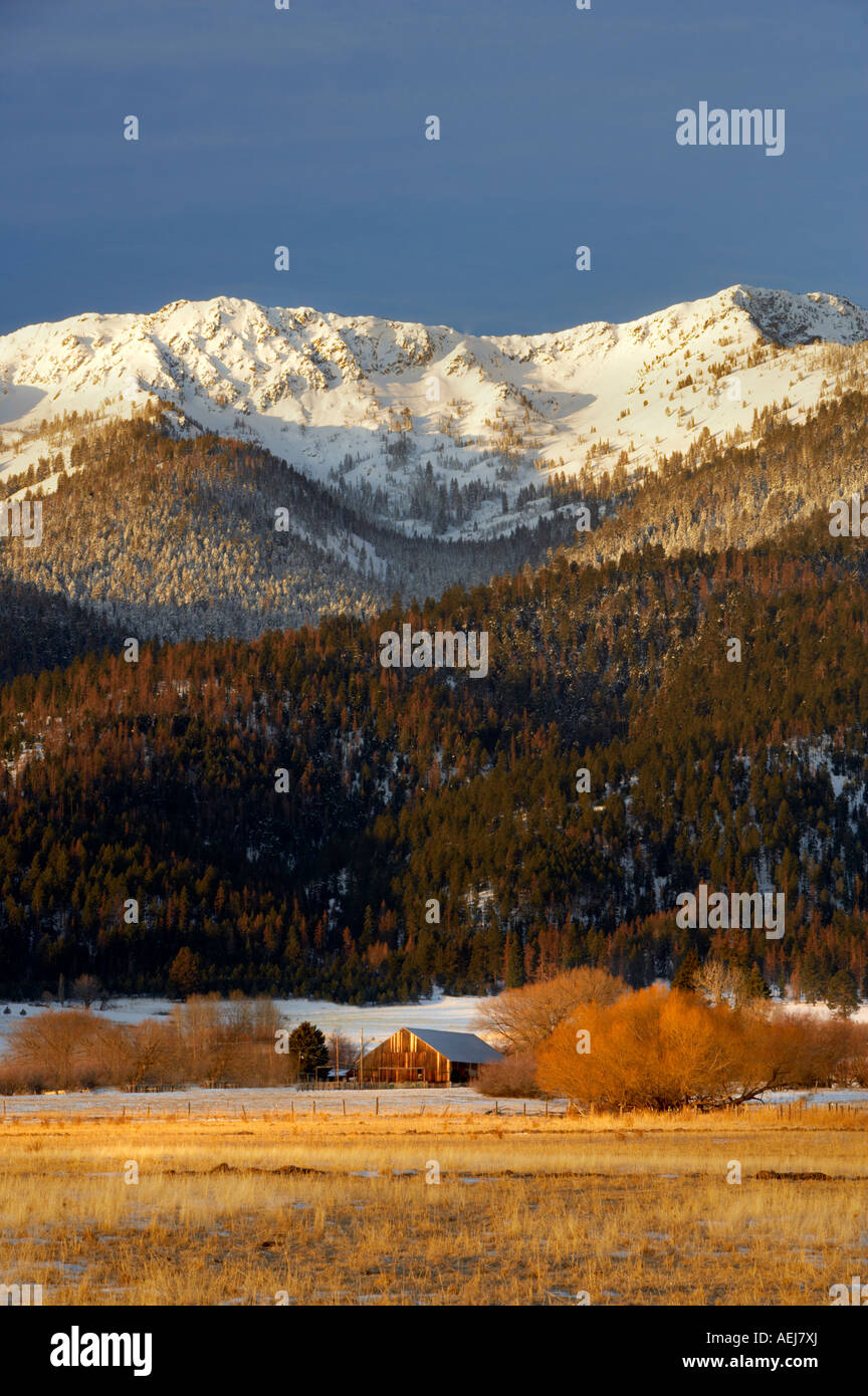 Snowy pasture and Elkhorn Range Blue Mountains Oregon Stock Photo - Alamy