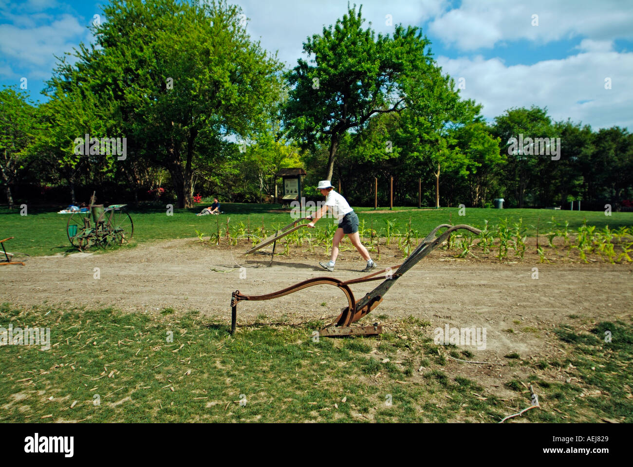 Old metal plough in a field Stock Photo - Alamy