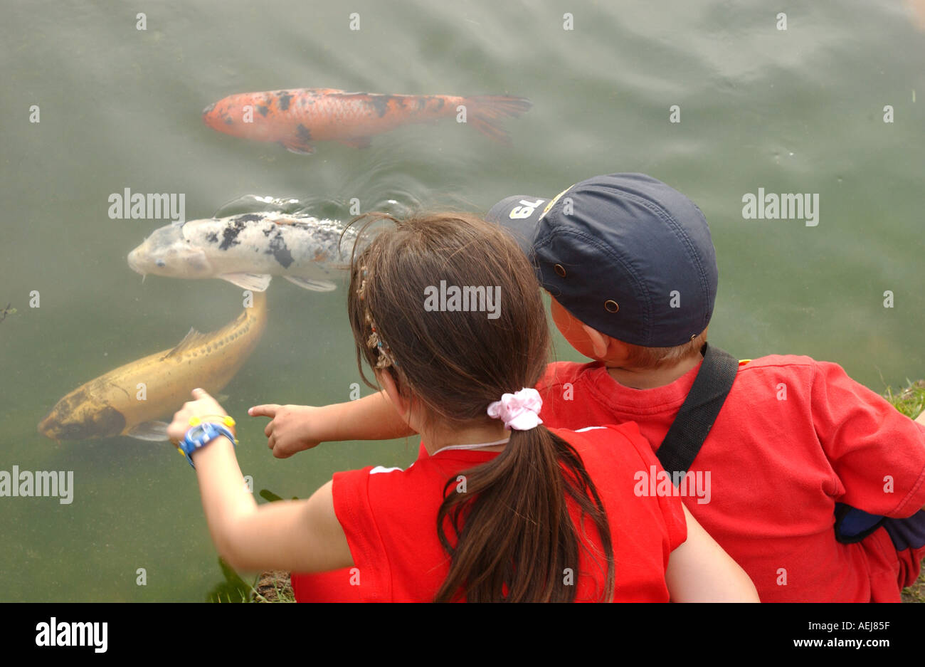 Children looking at fish Stock Photo - Alamy