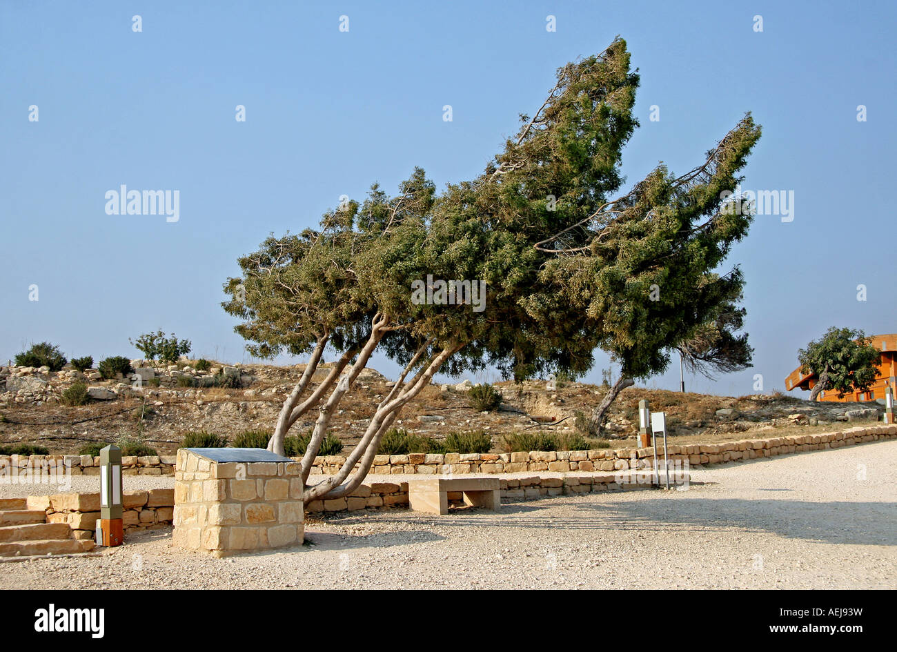 Wetterspuren hi-res stock photography and images - Alamy