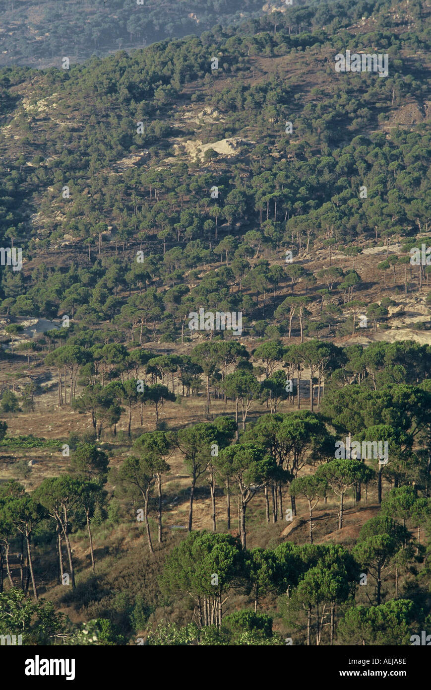 Chouf Mountain High Resolution Stock Photography and Images - Alamy