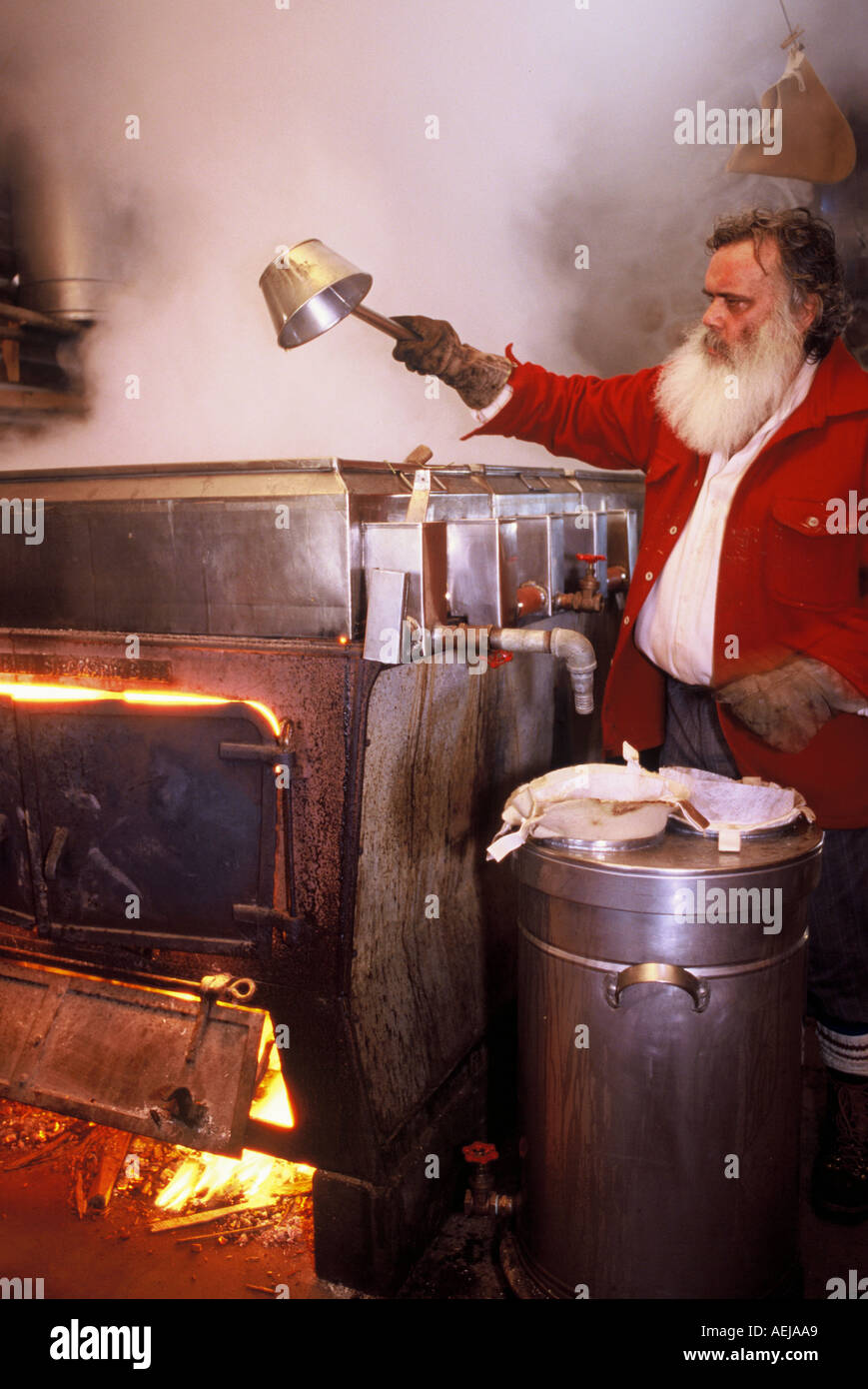 Sugar Shack Man preparing maple syrup following the traditional method ...