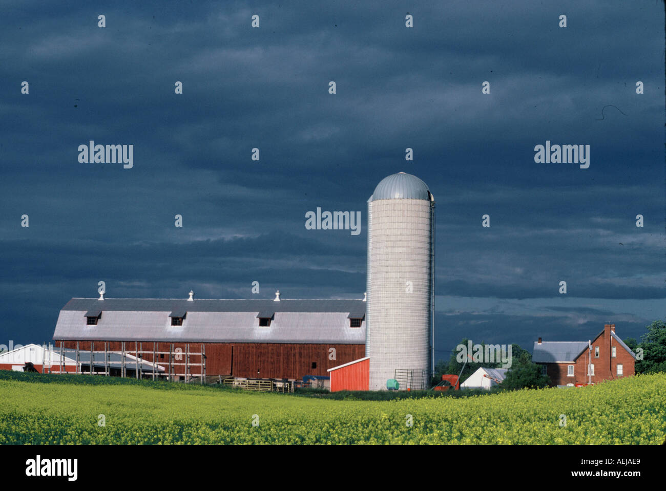 Canadian dairy farm hi-res stock photography and images - Alamy