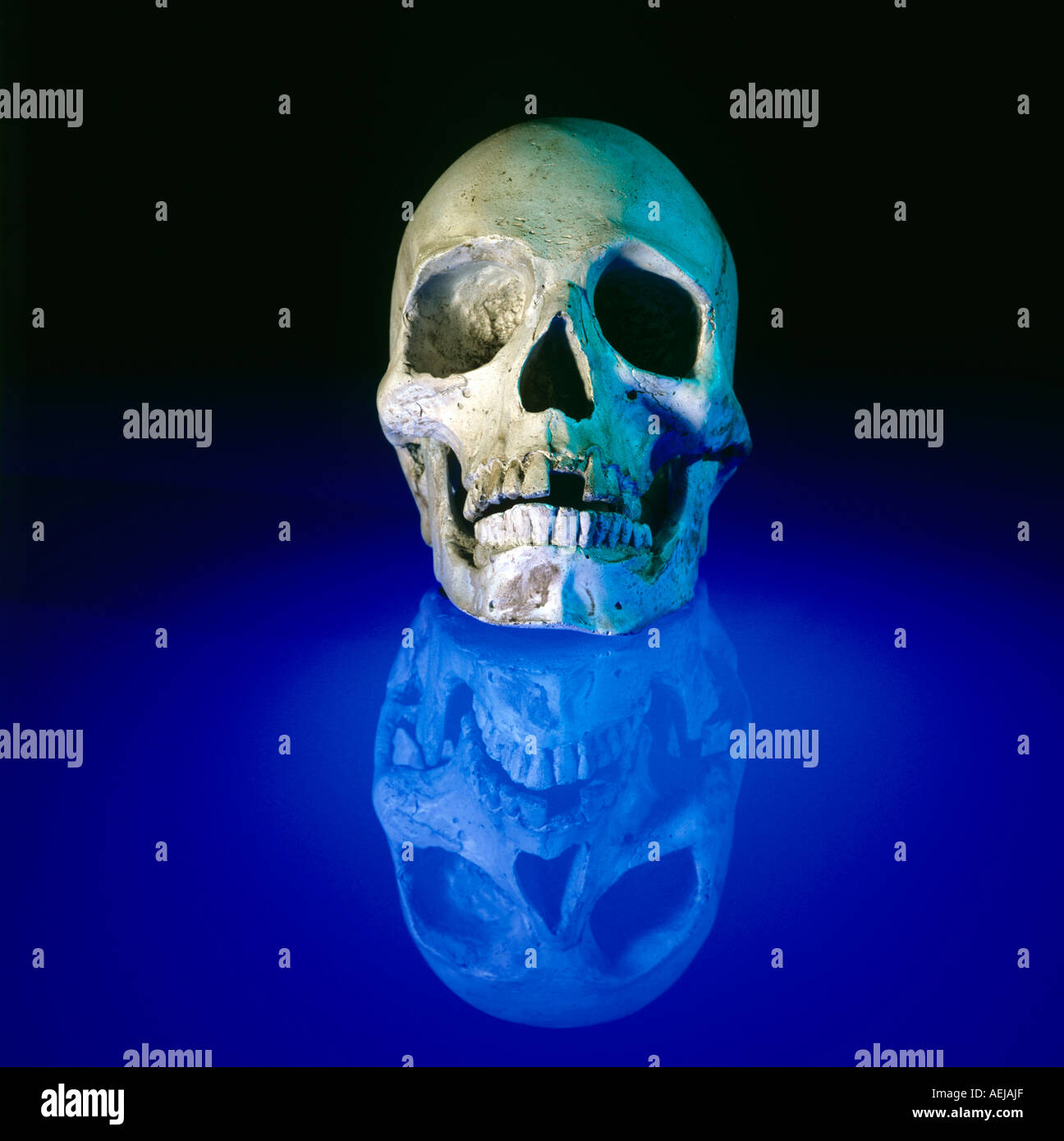 Broken skulls and bones hi-res stock photography and images - Alamy