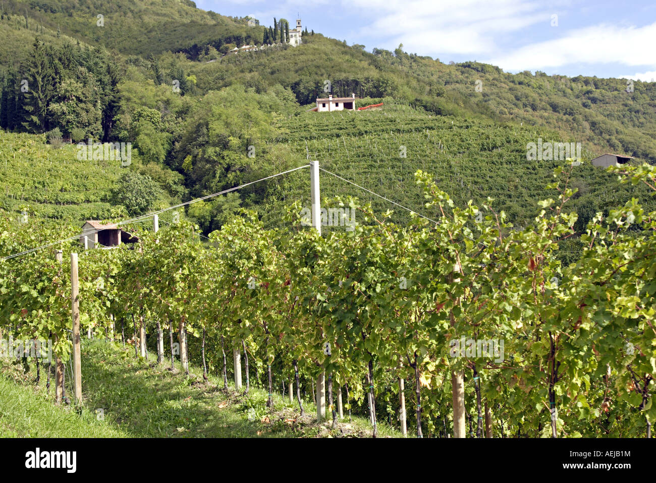 Italy Veneto Route del Prosecco medieval hill towns in the foothills of ...