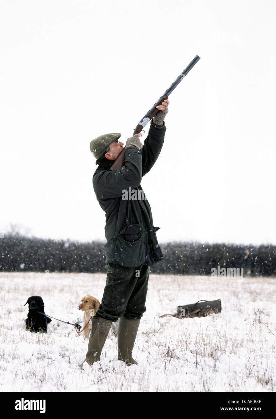 Game Shooting in the Snow Stock Photo - Alamy