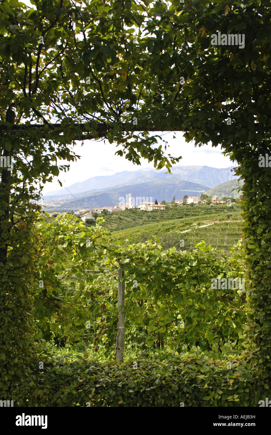 Prosecco route hi-res stock photography and images - Alamy