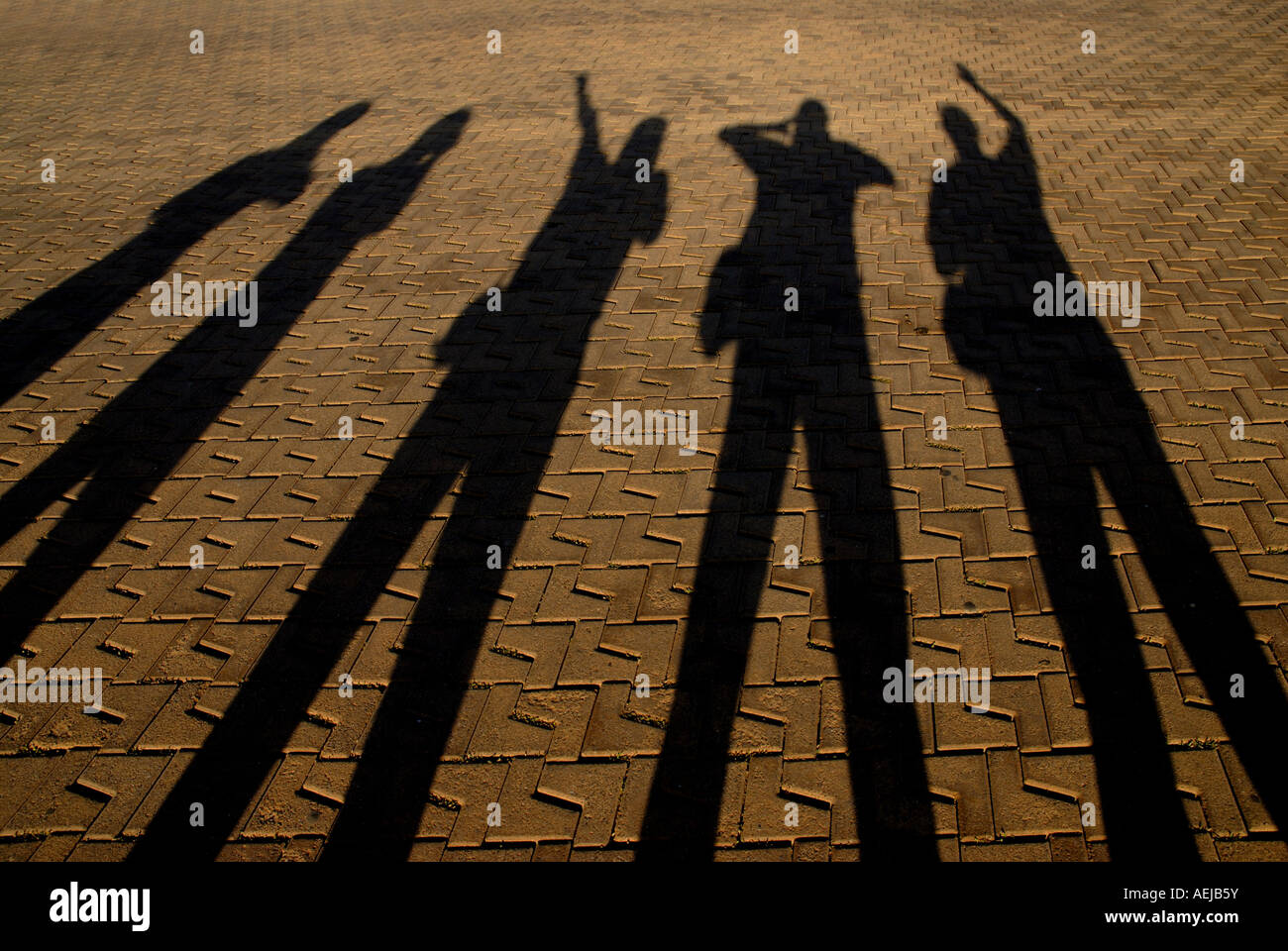 Long shadows of a group of persons Stock Photo - Alamy