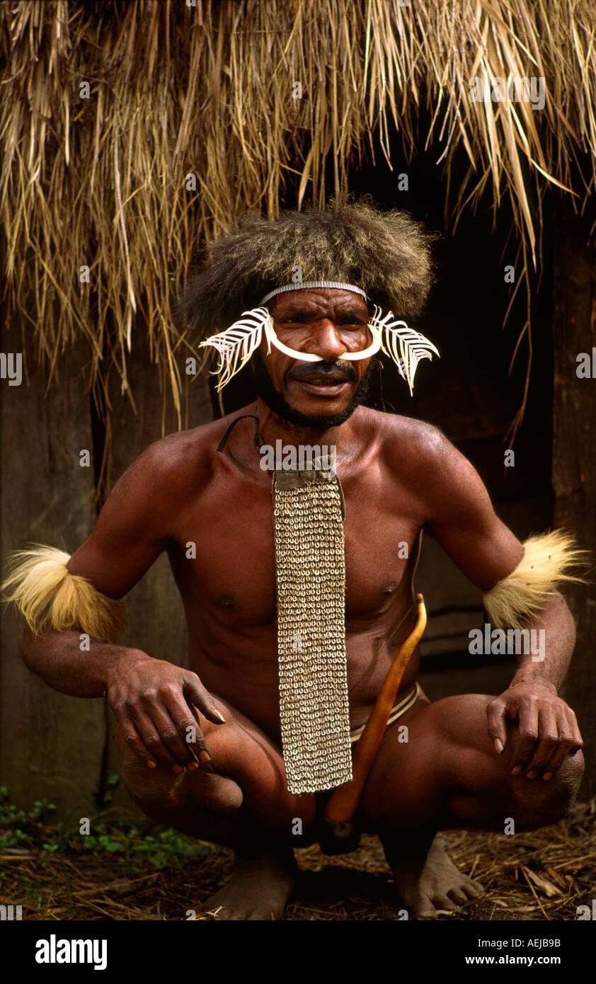 Dani man in traditional costume Baliem Valley Irian Jaya Indonesia ...