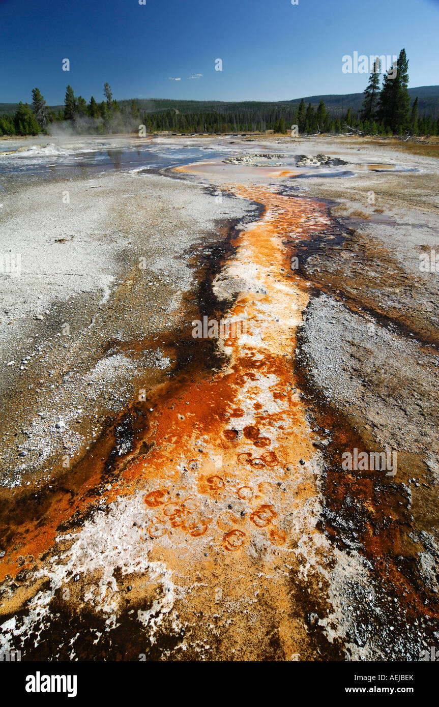 Layers with thermophilic bacteria, Upper Geyser Basin, Yellowstone ...
