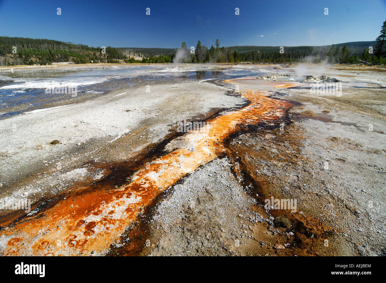Layers with thermophilic bacteria, Upper Geyser Basin, Yellowstone ...
