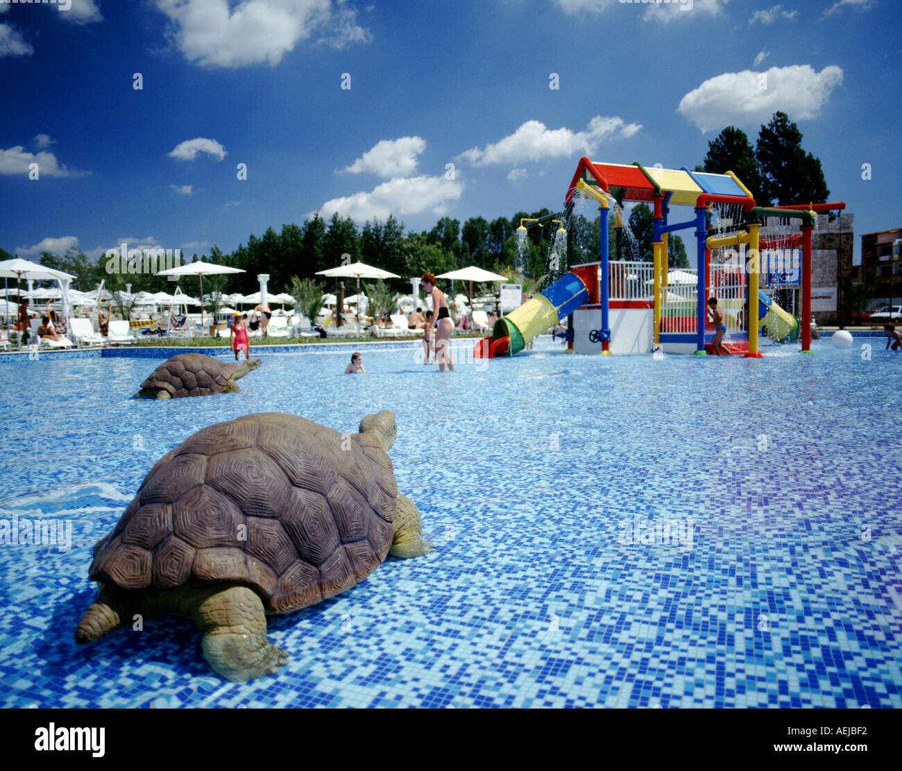 Turtle loggerhead scream shriek yell Bulgaria water slide aqua park ...