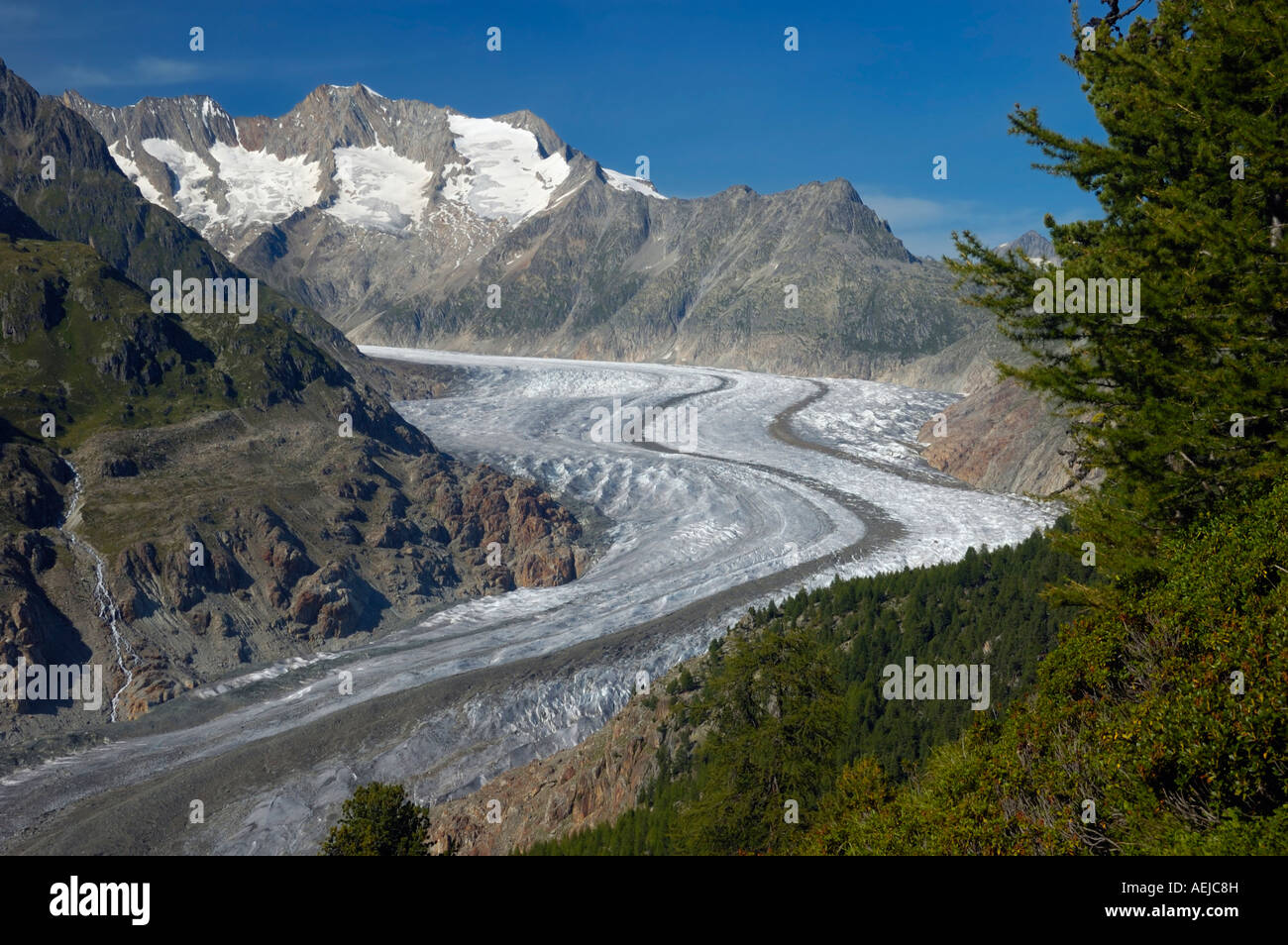 Grosser aletschgletscher europa hi-res stock photography and images - Alamy