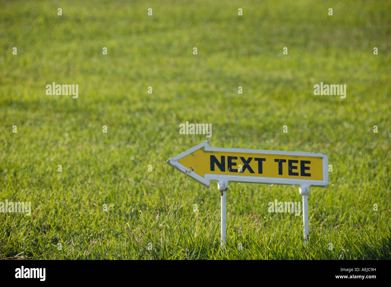 Next course hi-res stock photography and images - Alamy