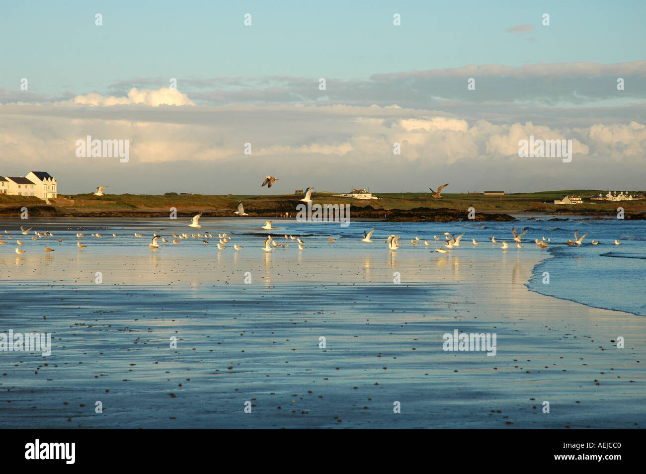 Rhosneigr hi-res stock photography and images - Alamy
