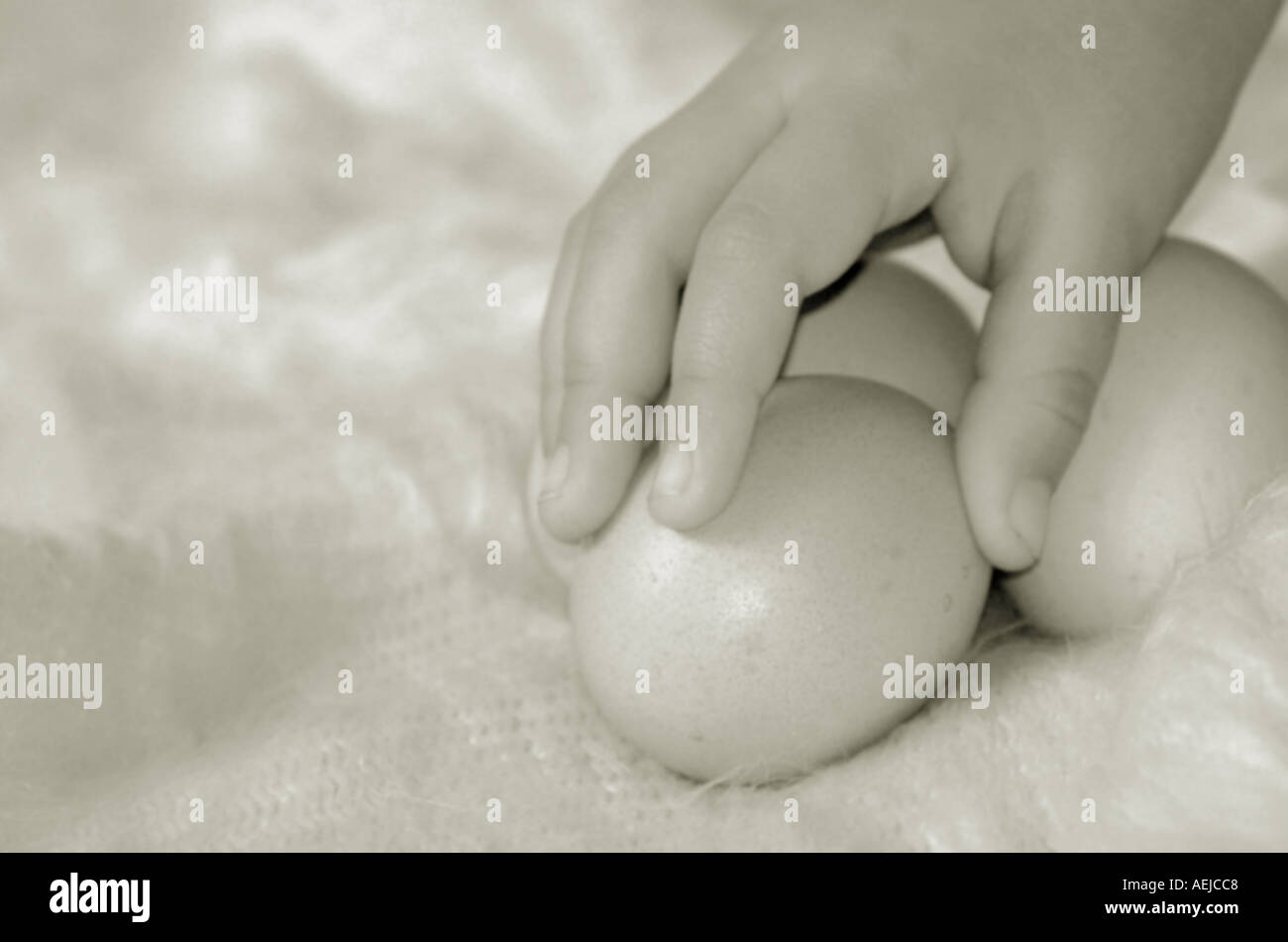 Child s hand grabbing eggs in a soft and fluffy fabric Stock Photo - Alamy