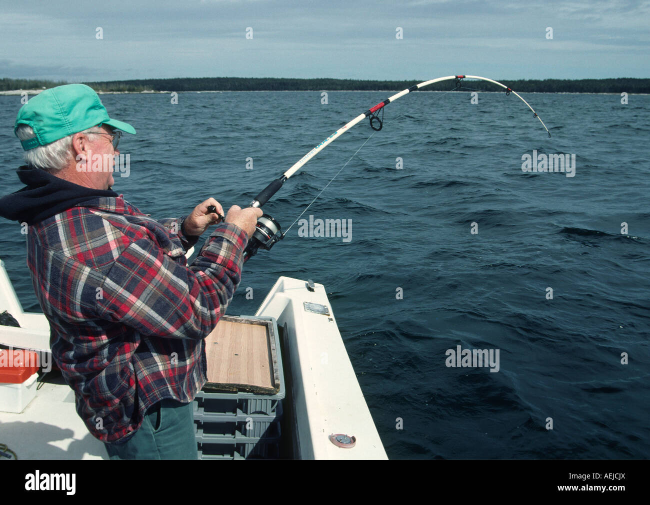 Angler fish deep sea hi-res stock photography and images - Alamy