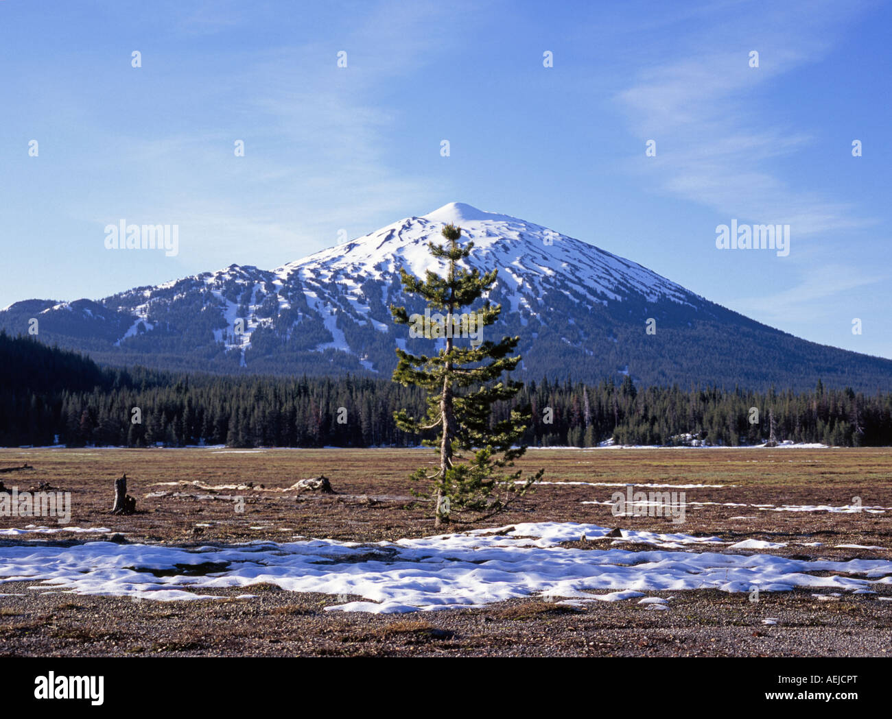 Mount bachelor ski resort hi-res stock photography and images - Alamy