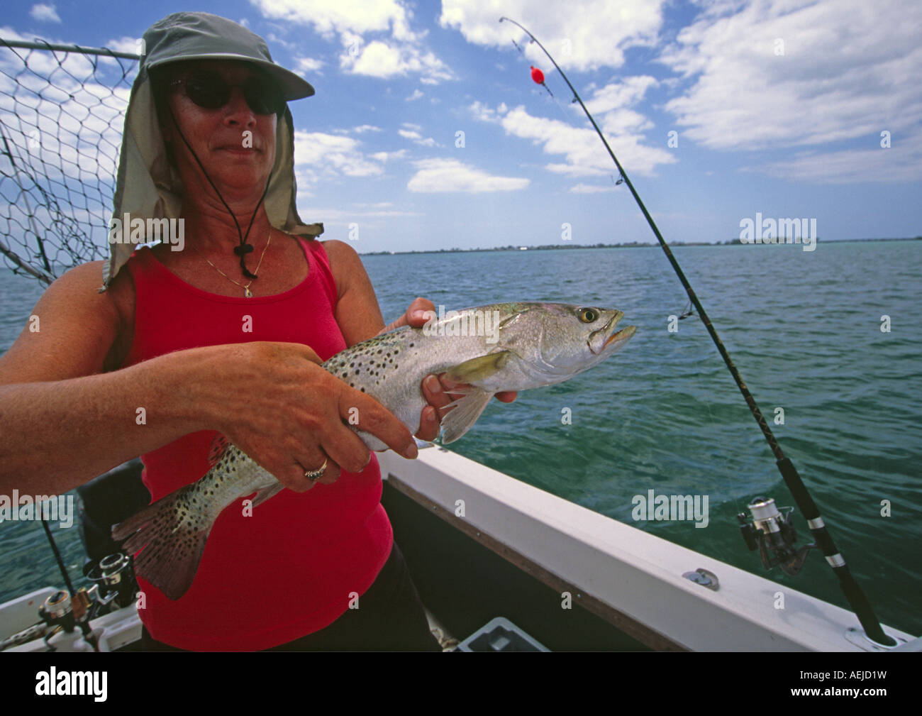 spotted sea trout caught in charlotte harbor florida usa Stock Photo ...