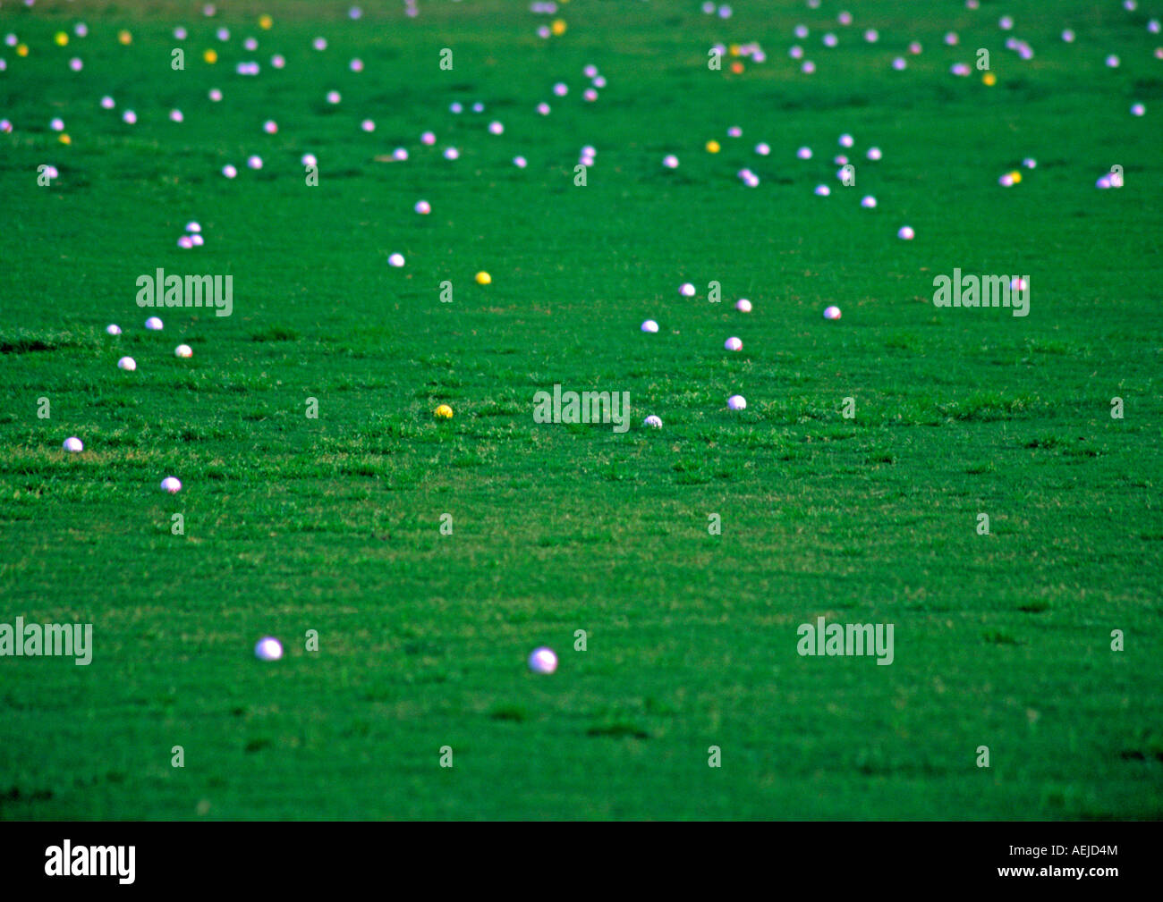 golf balls on a golf course Stock Photo - Alamy