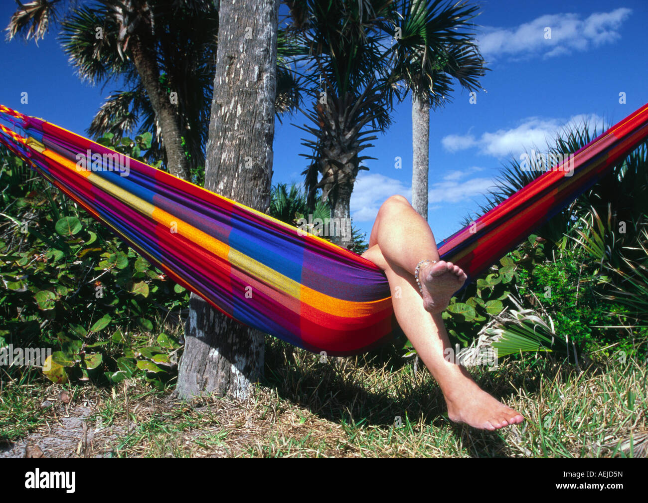 Showing Its Legs High Resolution Stock Photography and Images - Alamy