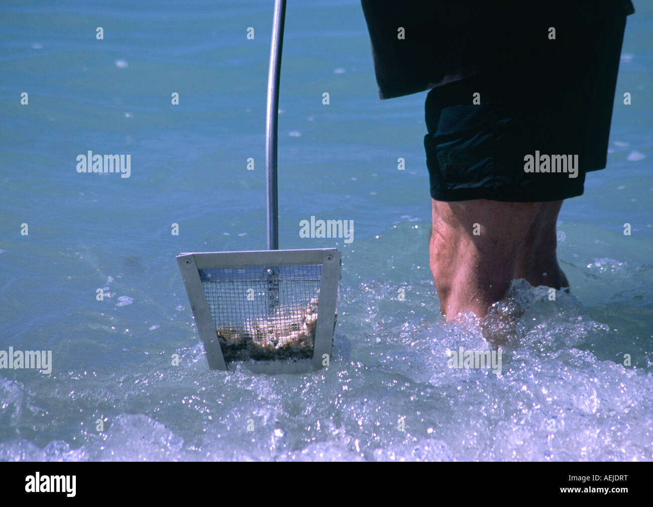 Shelling hi-res stock photography and images - Alamy