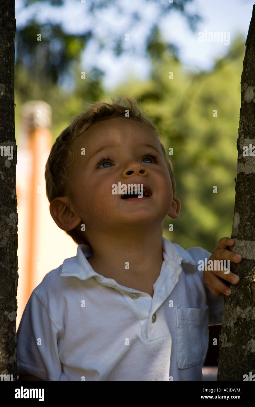 Happy baby between two trees Stock Photo - Alamy