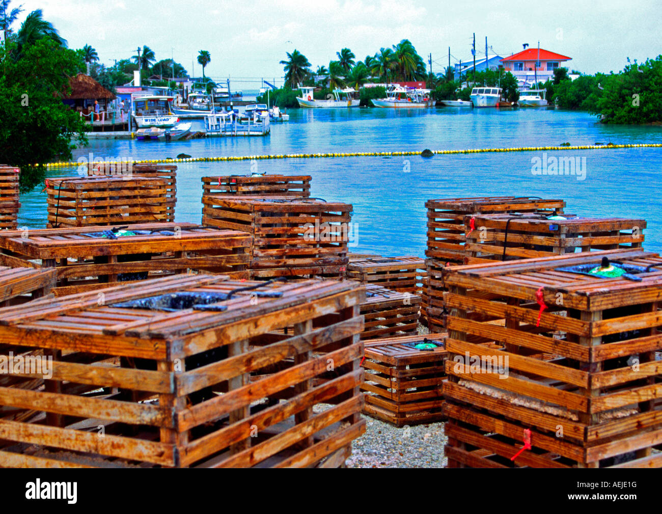Conch Key in the Florida Keys USA showing lobster traps Stock Photo - Alamy