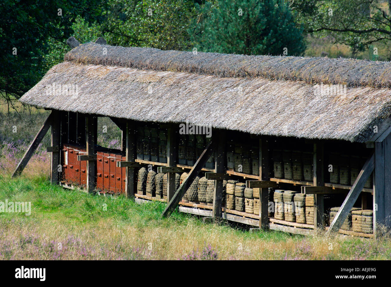 Beekeeping in a beehouse with beehives, - nature reserve Lueneburg ...