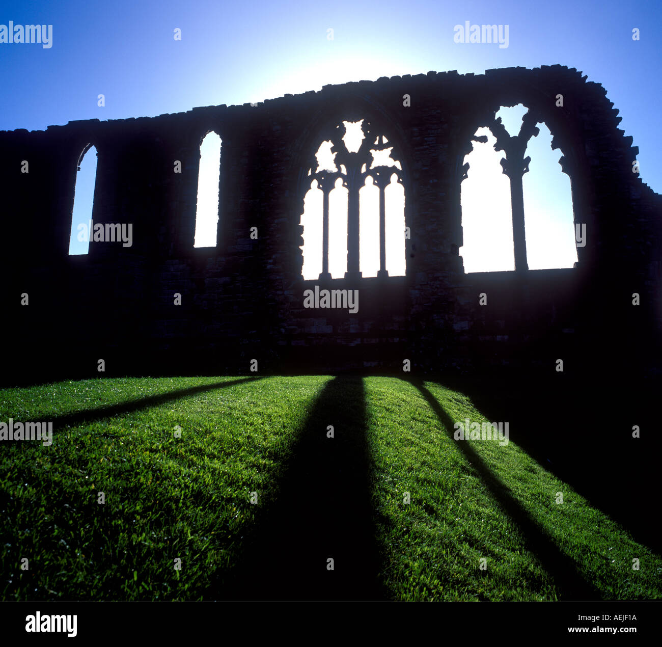 Whitby abbey in silhouette hi-res stock photography and images - Alamy