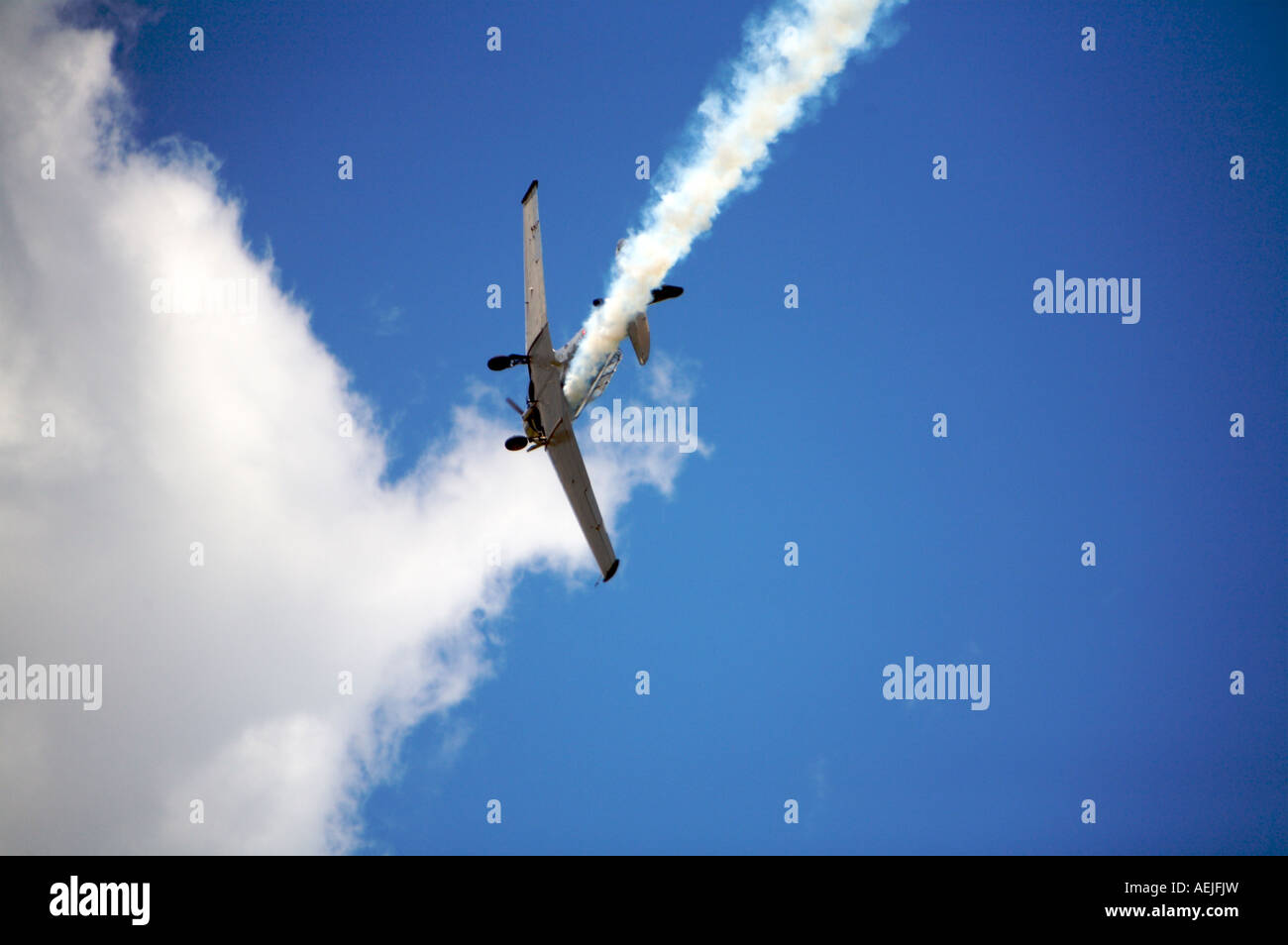 T 6 Texan North American Harvard or T 6 Texan or SNJ WW2 military ...