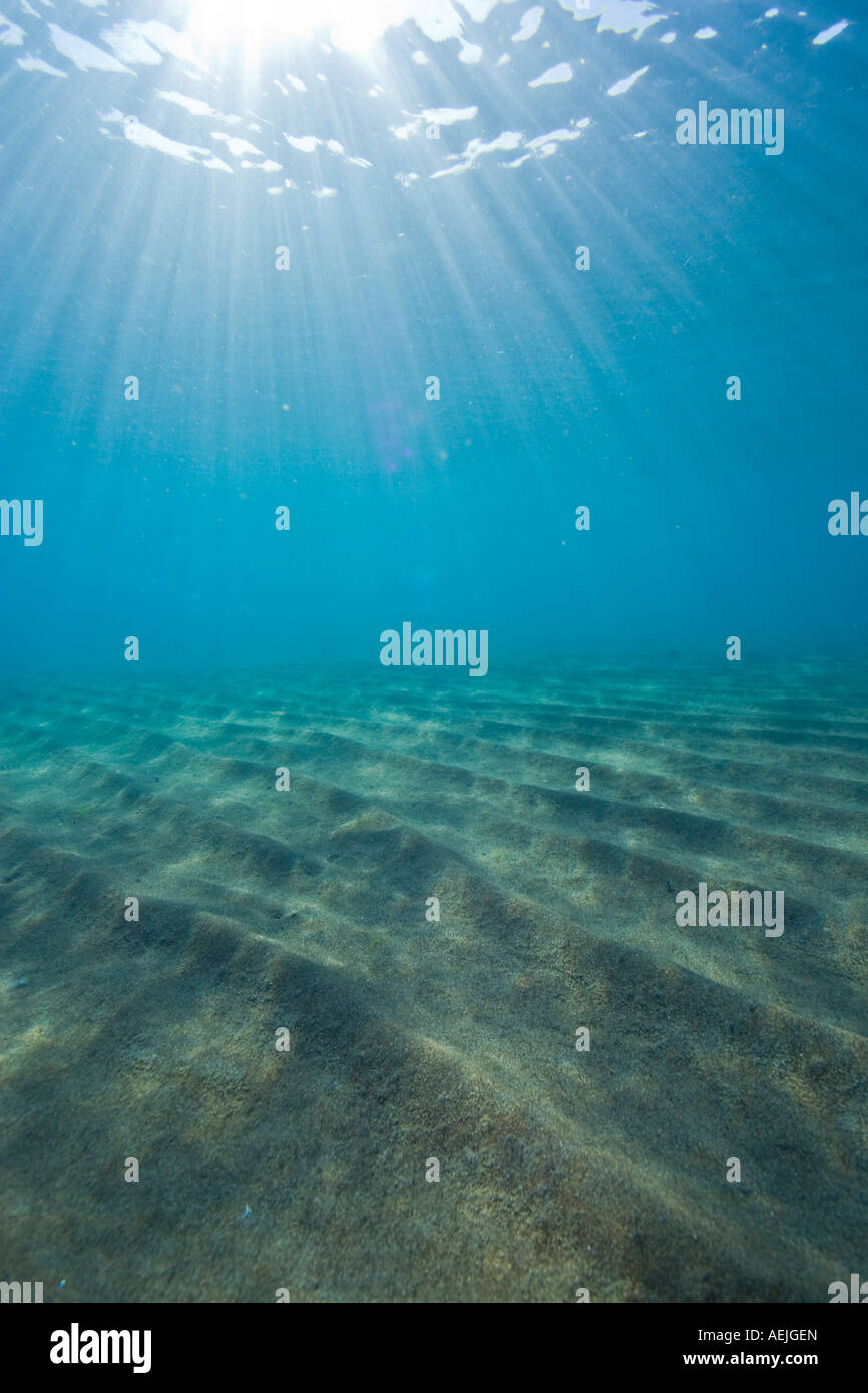 Sea bottom hi-res stock photography and images - Alamy