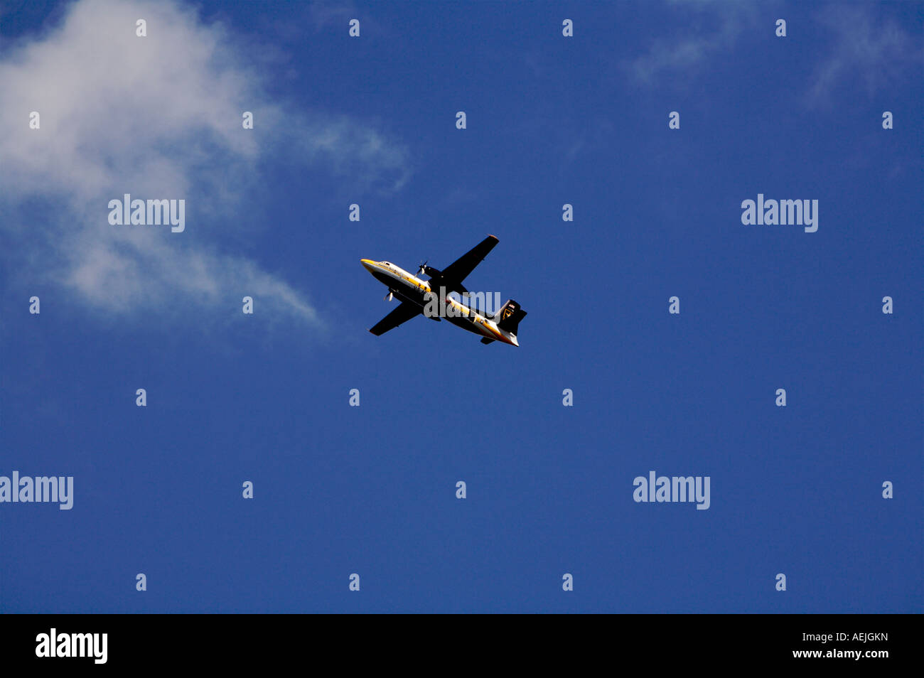 Us army golden knights hi-res stock photography and images - Alamy