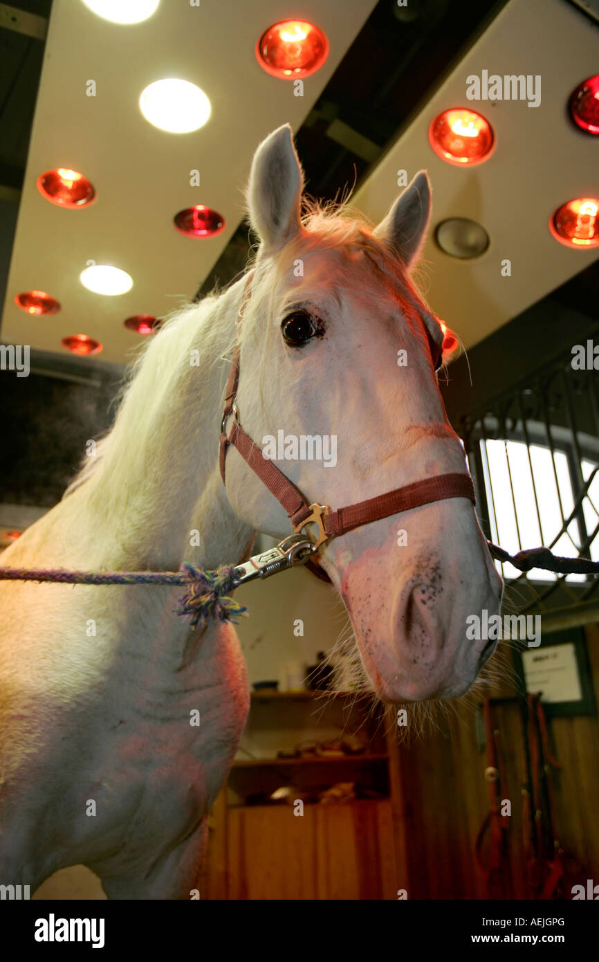 Infraredlights hi-res stock photography and images - Alamy