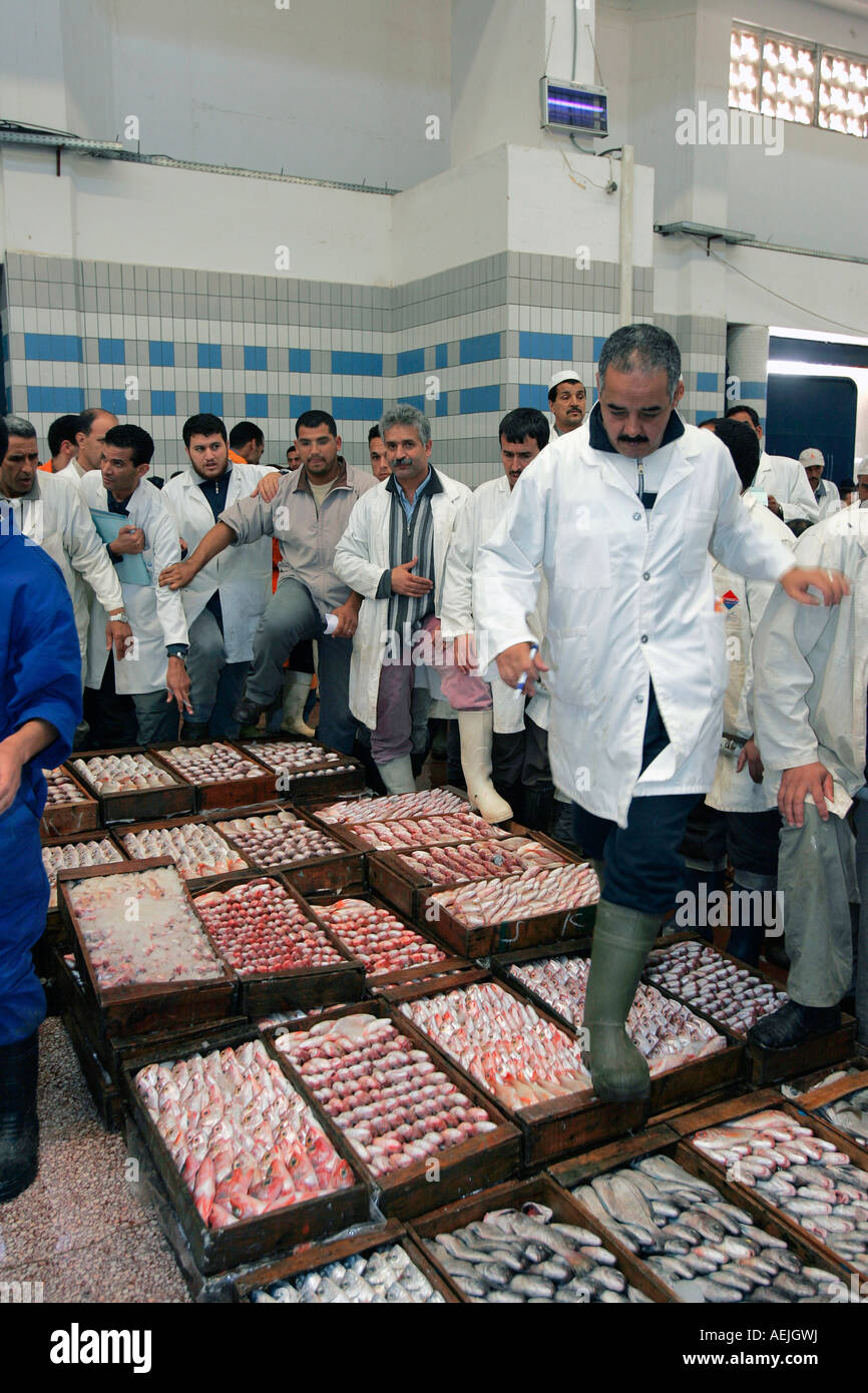 Fish market agadir morocco hi-res stock photography and images - Alamy