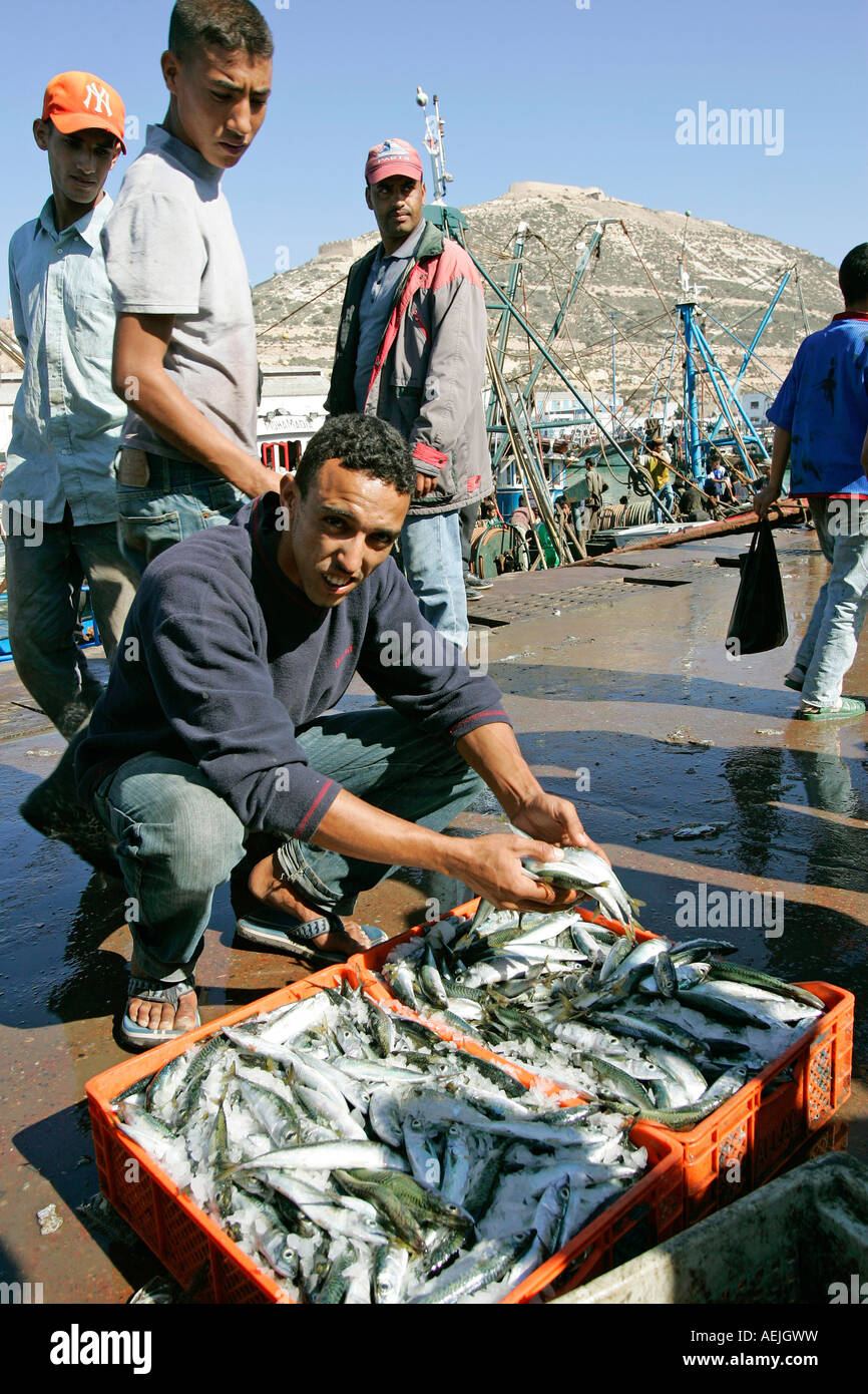 Fish market in Agadir, Morocco Stock Photo - Alamy