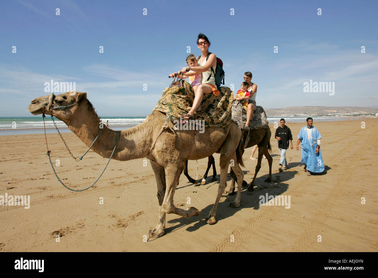 Tourists riding camels at the beach of Agadir, Morocco, Africa Stock ...
