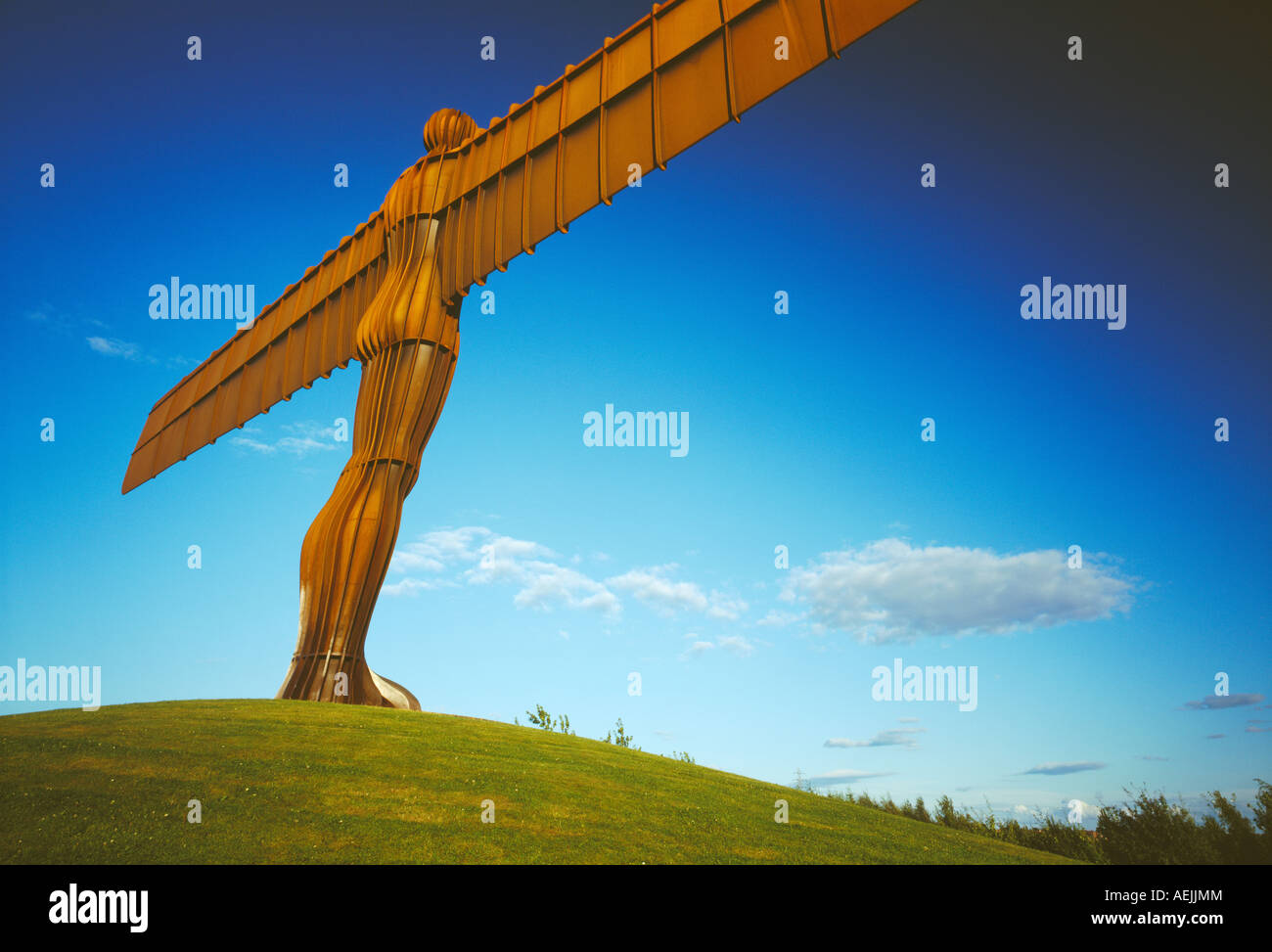 Daytime view of the Gateshead Angel of the North, Tyne and Wear Stock ...
