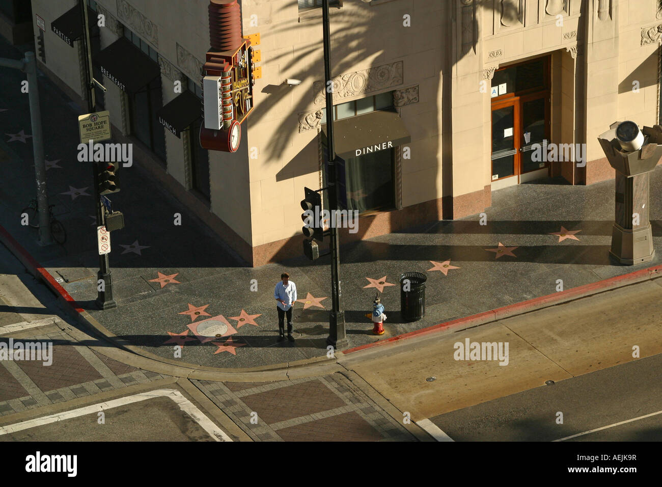 The stars on "Walk of Fame" in Hollywood Los Angeles California United ...