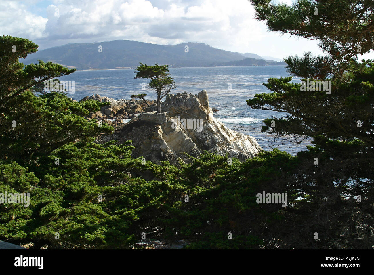 Monterreys nature hi-res stock photography and images - Alamy