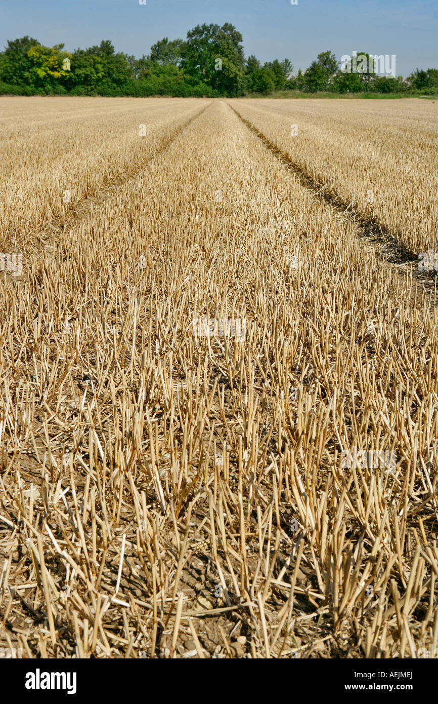 Stubble field tractor track hi-res stock photography and images - Alamy
