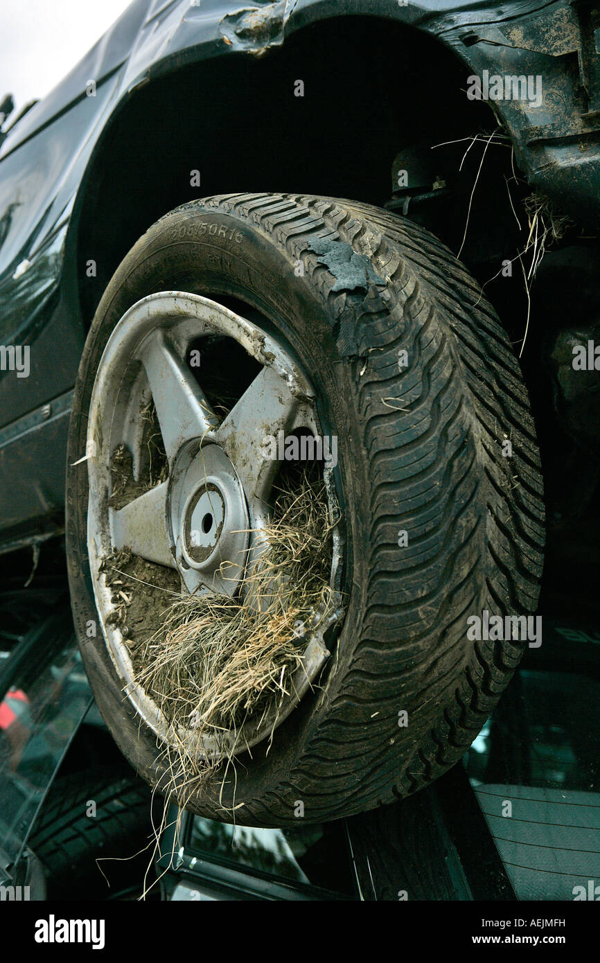 Front rims hi-res stock photography and images - Alamy