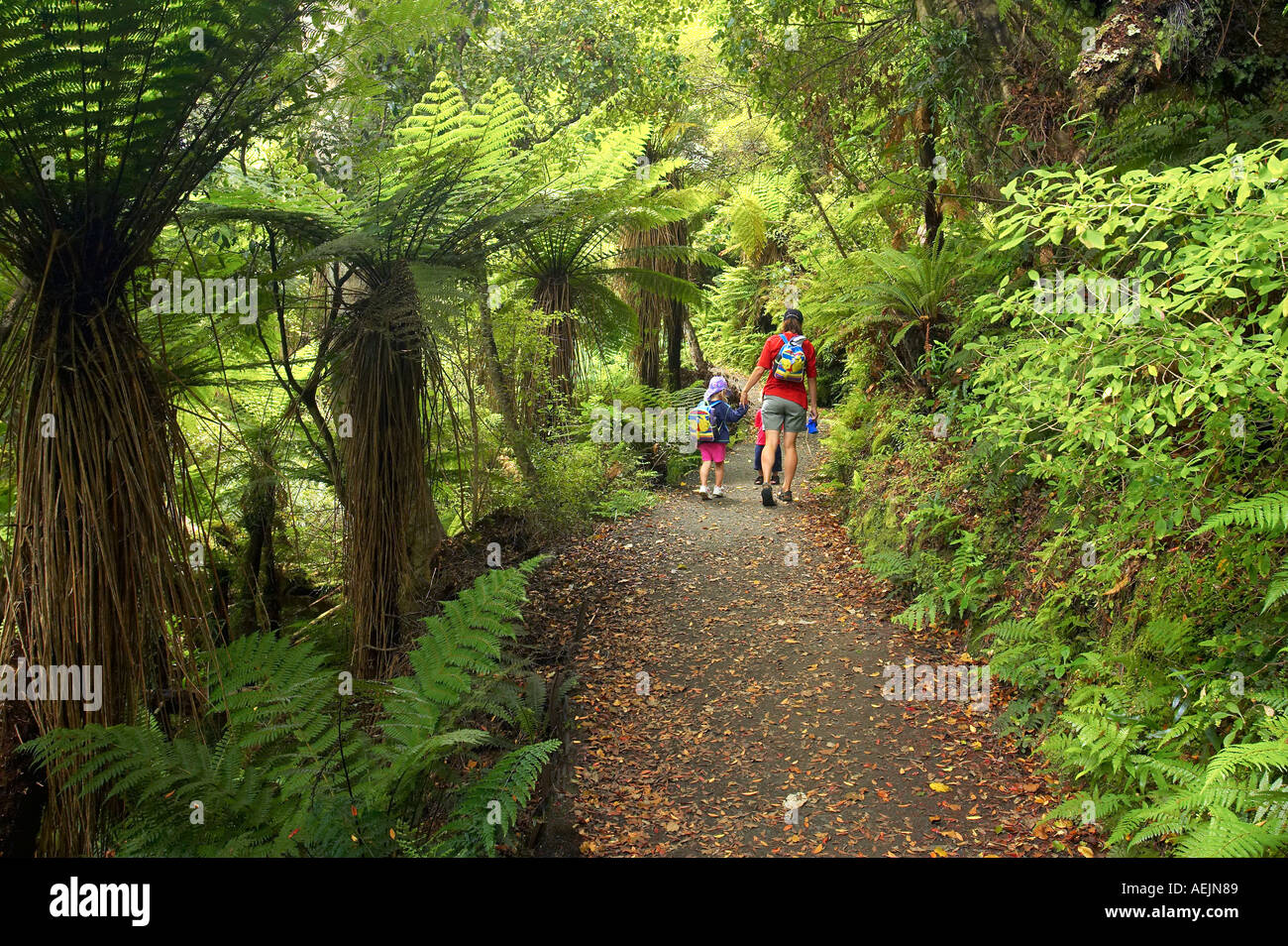 Bush walking trekkers hi-res stock photography and images - Alamy